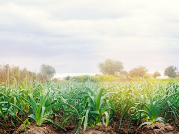 vvgroup – vvgroupglobal